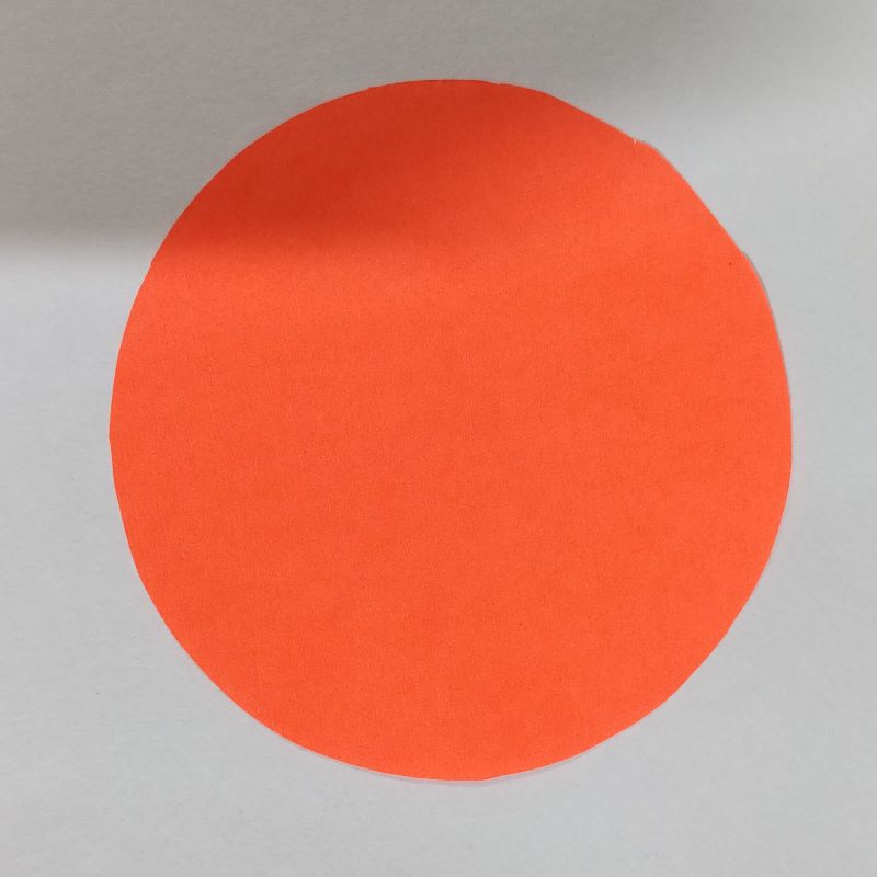 Easy 3D Paper Flowers - SchoolMyKids