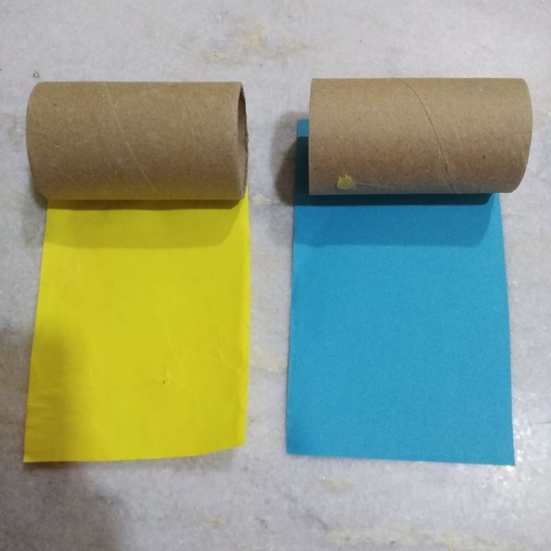 Toilet Paper Roll Koi Fish Craft - SchoolMyKids