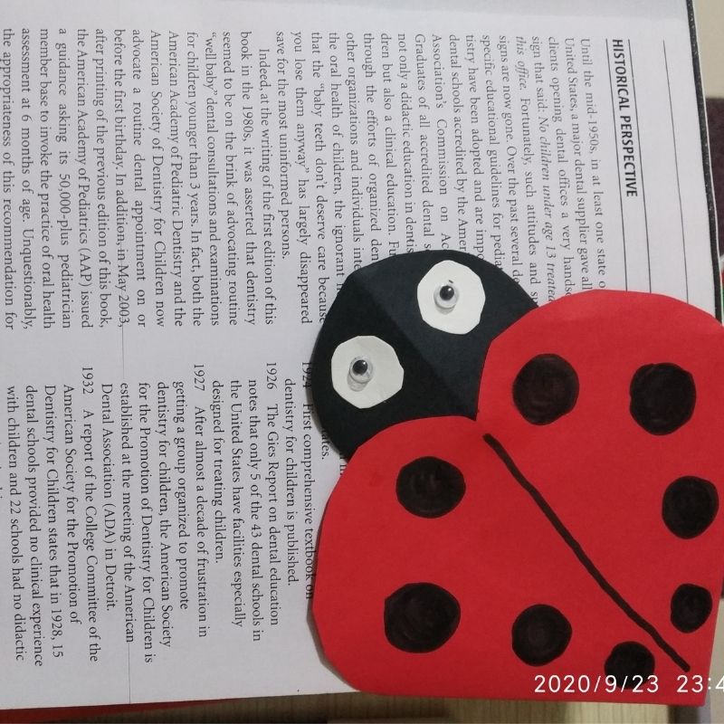 Ladybug Corner Bookmark Design- DIY Origami for Kids - SchoolMyKids
