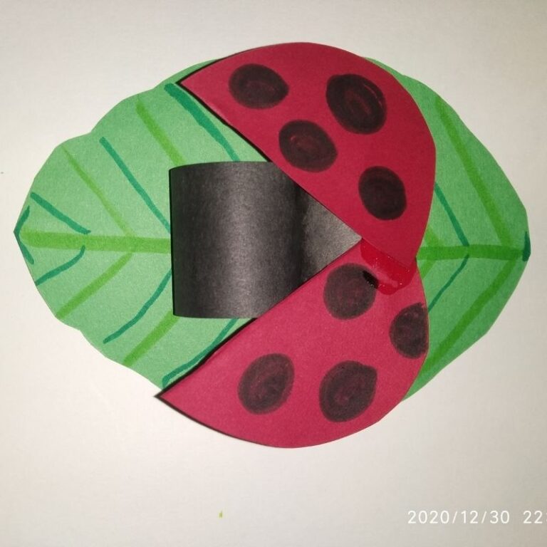 Construction Paper Ladybug on a Leaf Crafts for Kids - SchoolMyKids