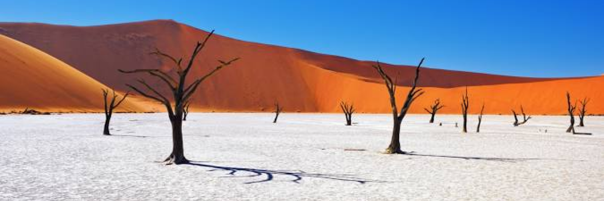 Top 5 Best schools in Namibia 2024 | Ranking, Reviews, Admission, fees