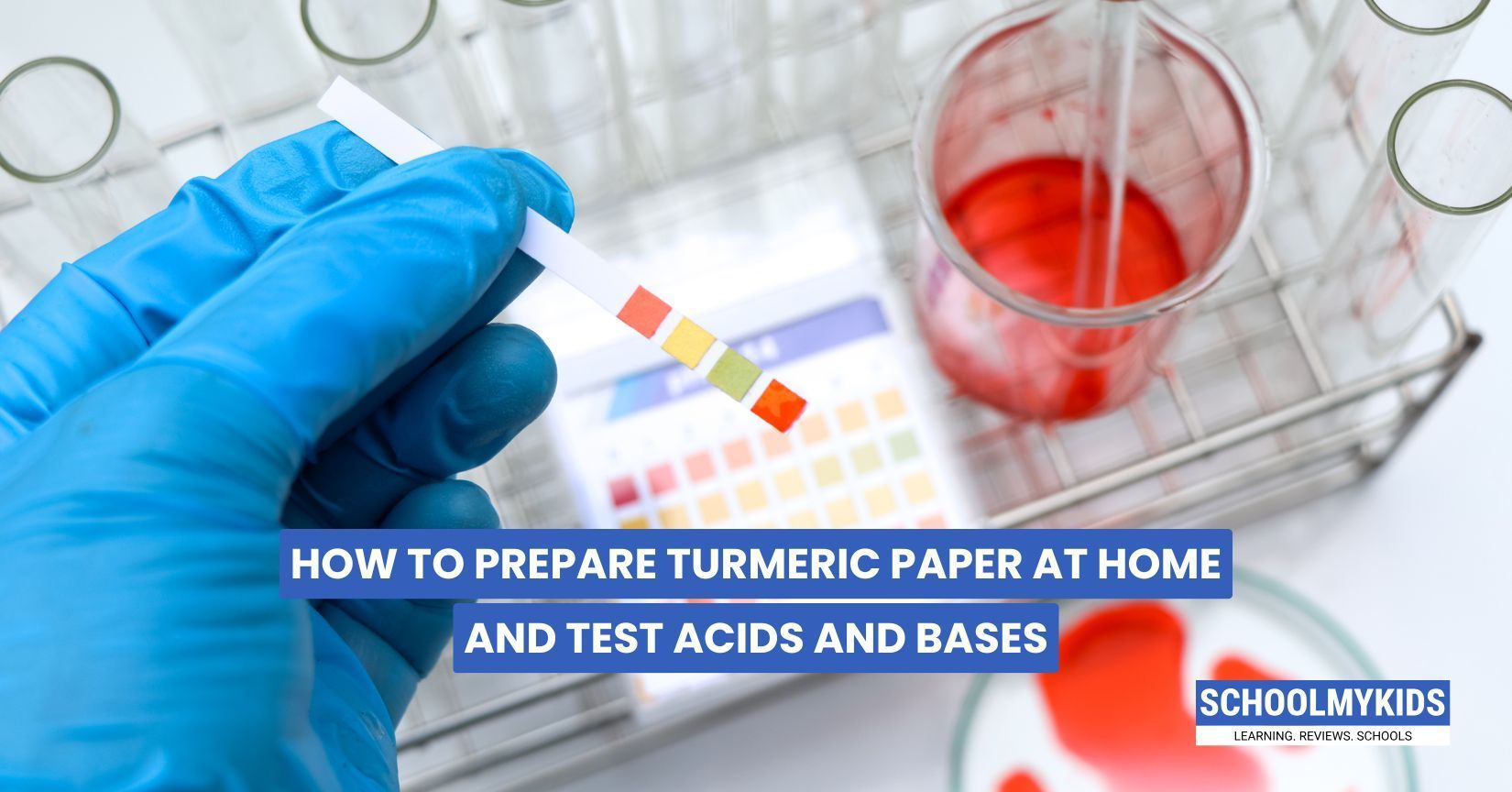 How to Prepare Turmeric Paper at Home and Test Acids and Bases