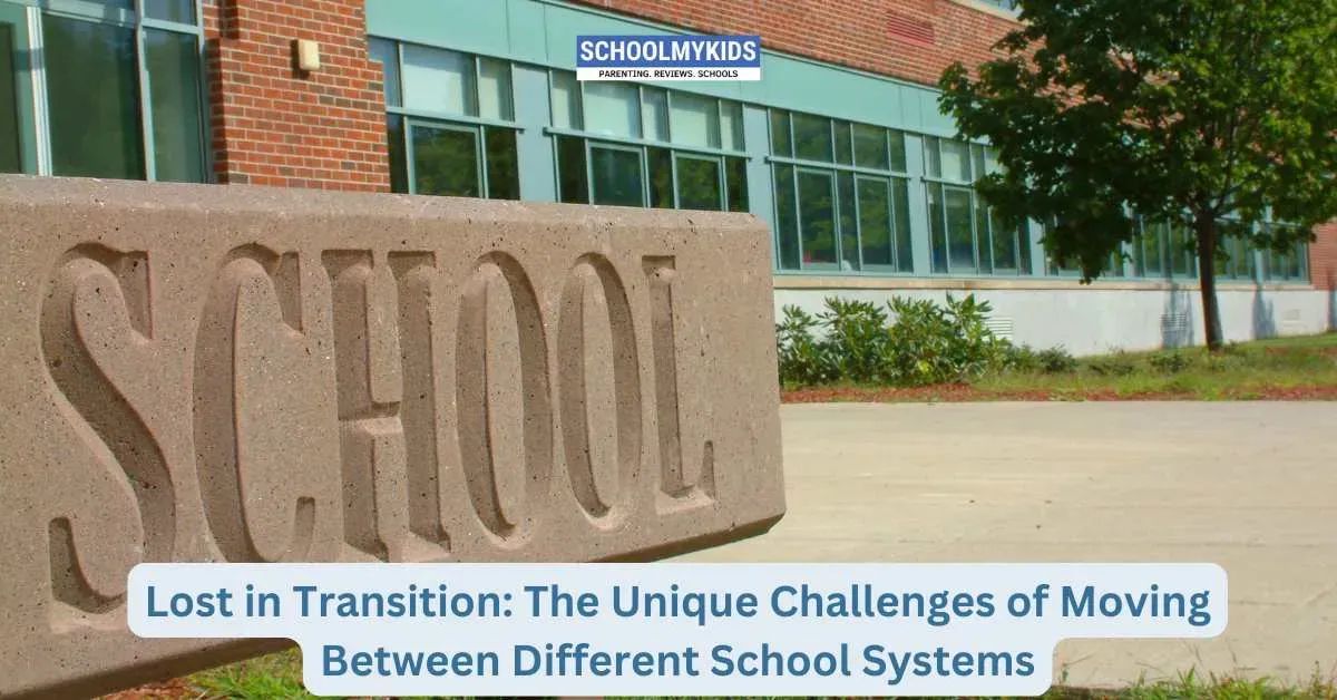 Lost in Transition: The Unique Challenges of Moving Between Different ...