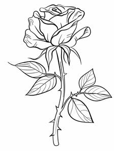 Rose Coloring Page worksheet for Kindergarten,First,Second Grade ...