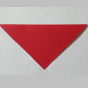 How to Make Angry Bird With Paper – Origami Crafts | SchoolMyKids