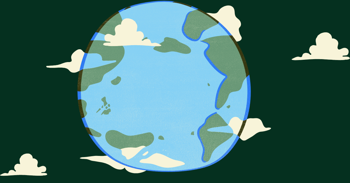 CBSE Class 10 Science : Chapter 13 - Our Environment (Detailed Short ...