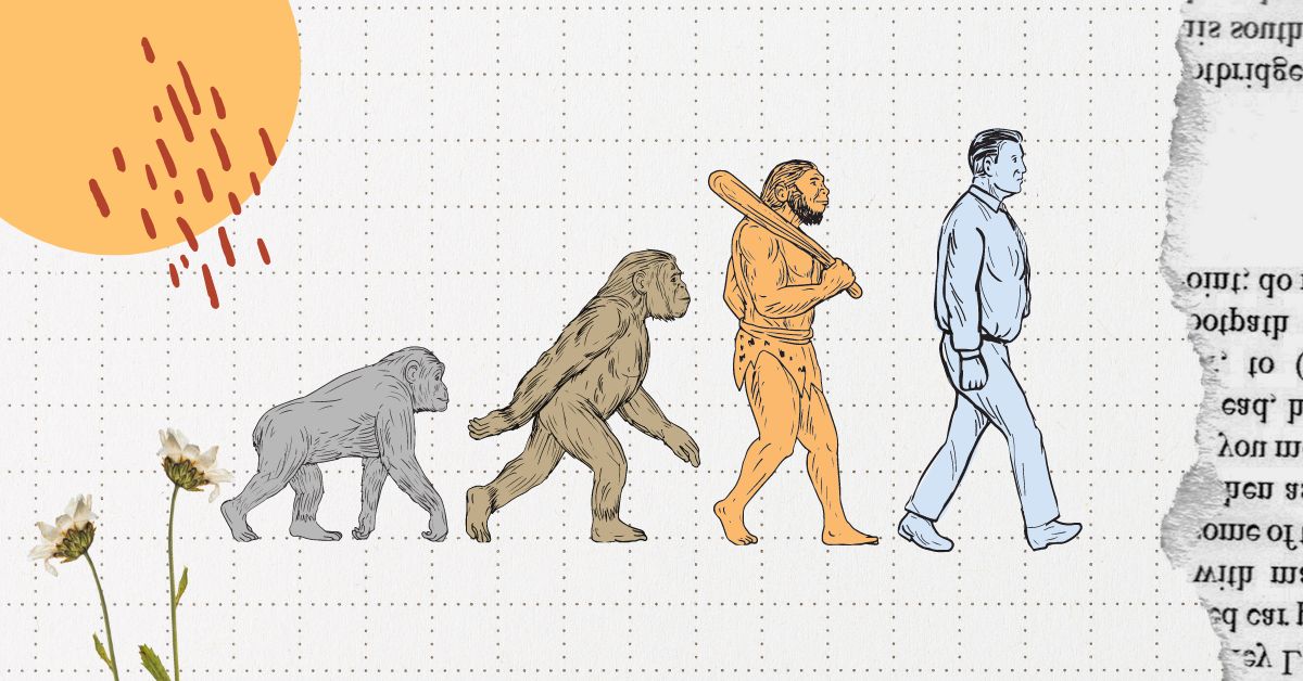 CBSE Class 10 Science : Evolution (Short Notes) - SchoolMyKids CBSE Class 10 Science : Evolution (Short Notes) - SchoolMyKids