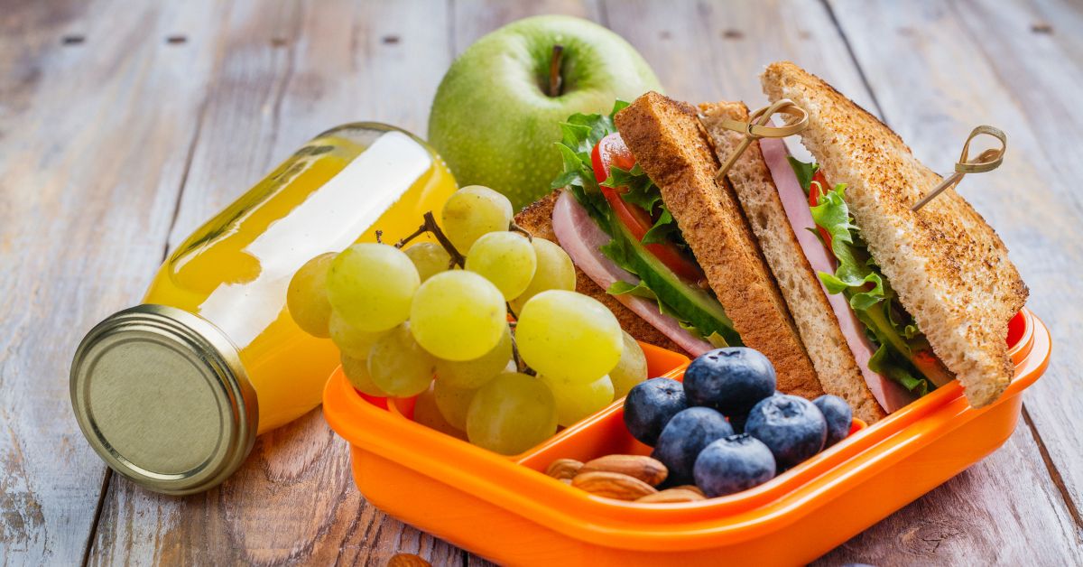 The Best Lunchboxes for Keeping Your Kid's Food Fresh - SchoolMyKids